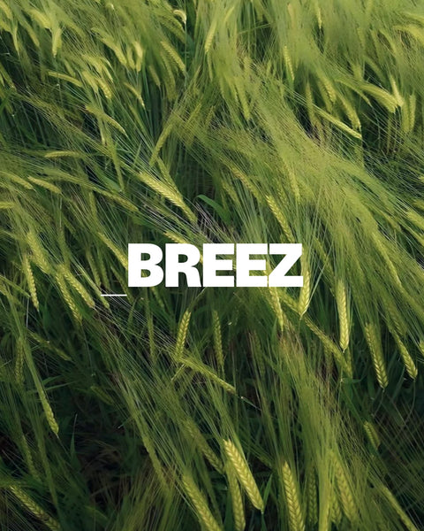 TexTale : Premium Men's Essentials