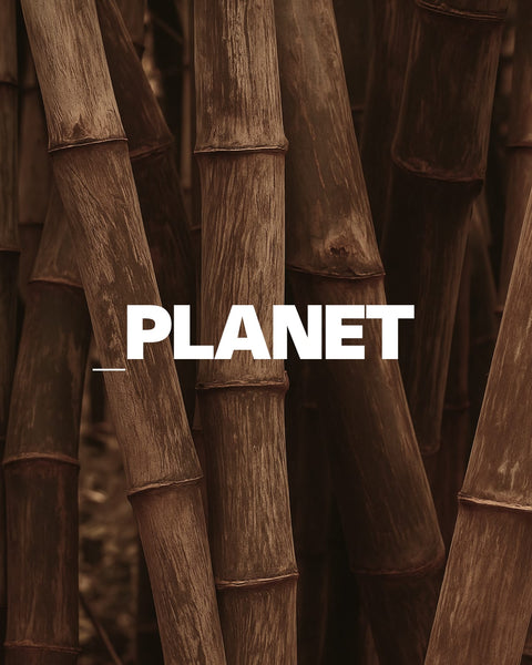 TexTale | Premium Men’s Basics in High-Tech, Sustainable Fabrics